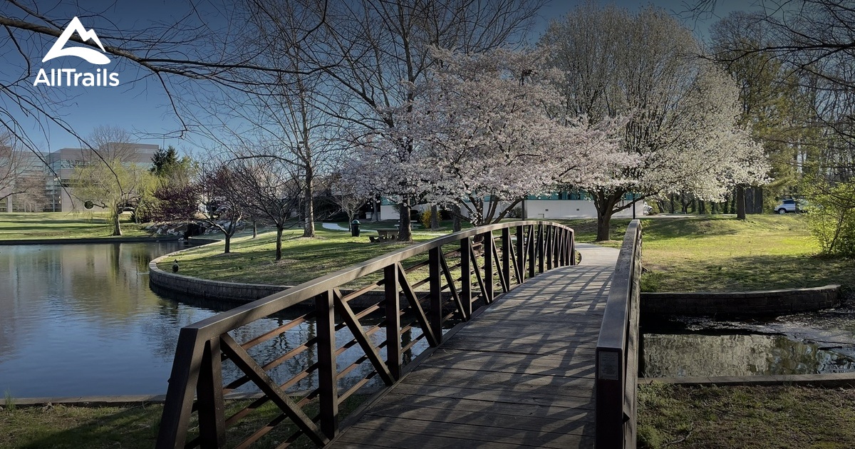 Best hikes and trails in Burrell Park | AllTrails