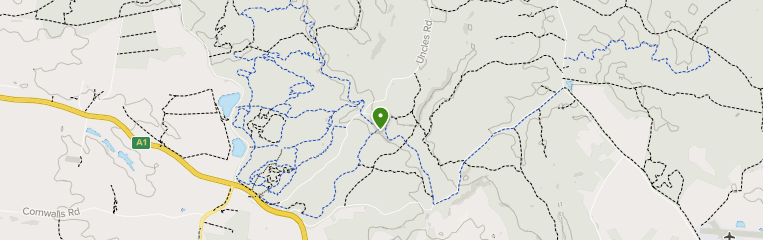 Best Hikes and Trails in Colquhoun State Forest | AllTrails