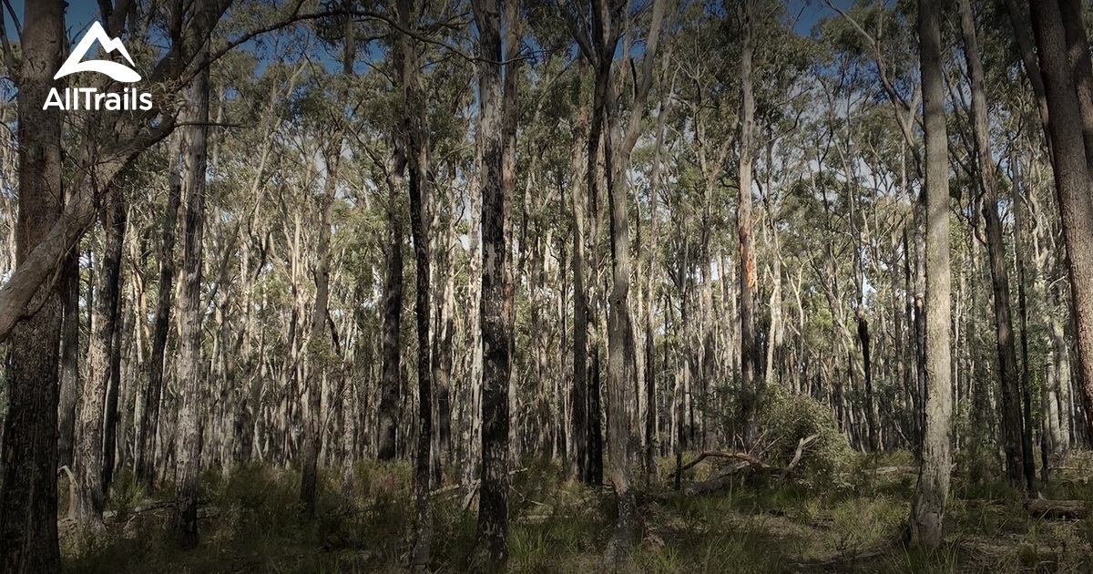 Best hikes and trails in Enfield State Park | AllTrails