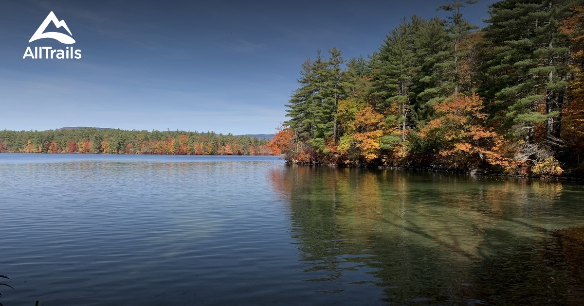 Best hikes and trails in Chamberlain-Reynolds Memorial Forest | AllTrails