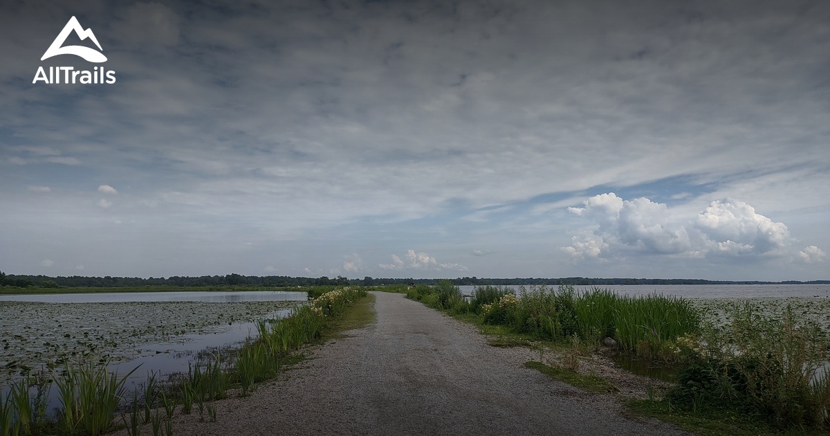 Best hikes and trails in Oset och Rynningevikens naturreservat | AllTrails