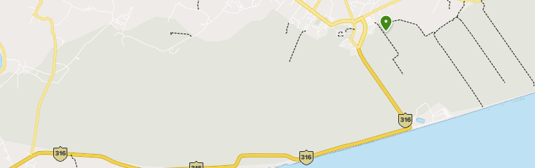 As melhores trilhas em Balukhand - Konark Wildlife Sanctuary | AllTrails