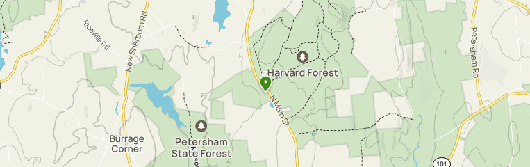 Best Hikes and Trails in Harvard Forest | AllTrails