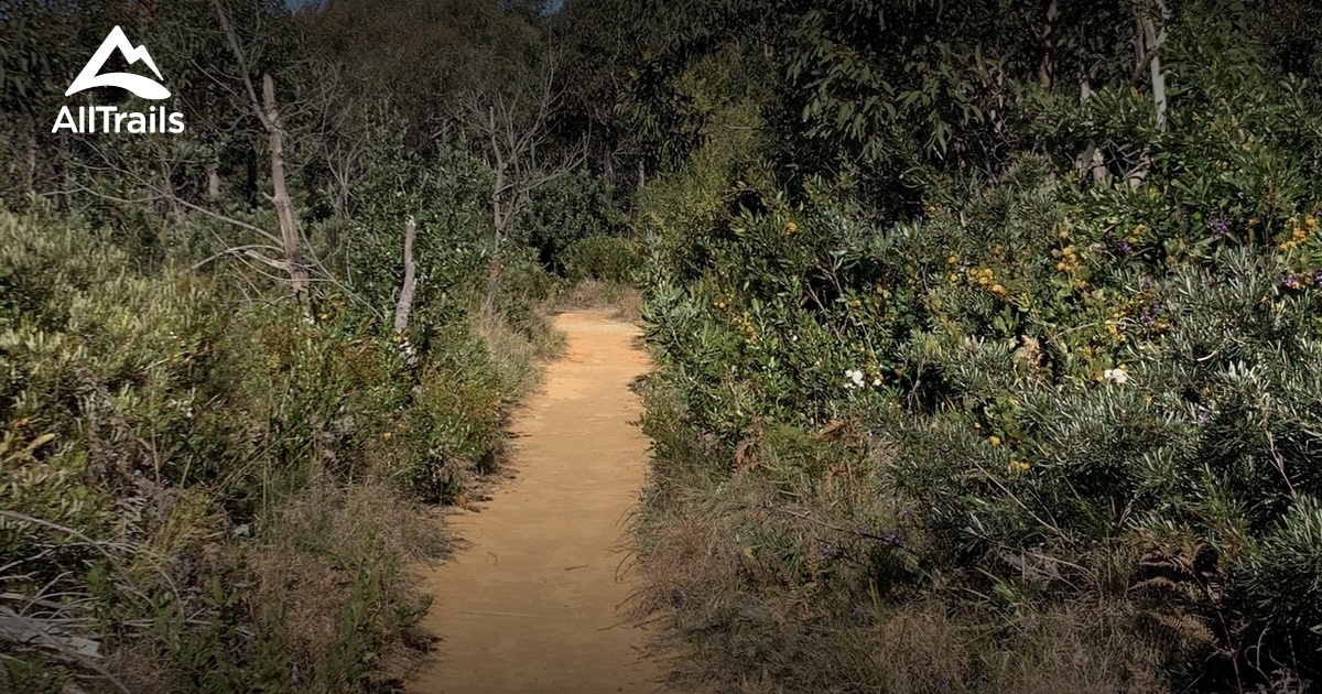Best hikes and trails in South Pacific Heathland Reserve | AllTrails