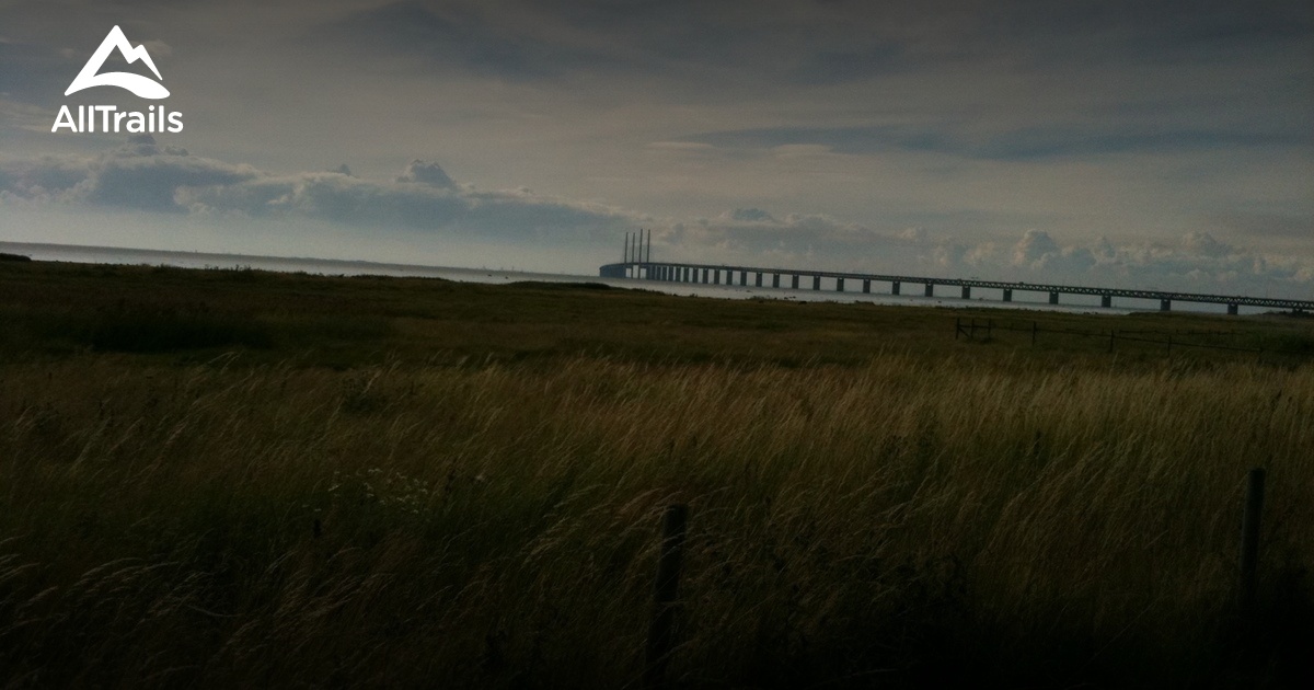 Best hikes and trails in Bunkeflo strandängars naturreservat | AllTrails