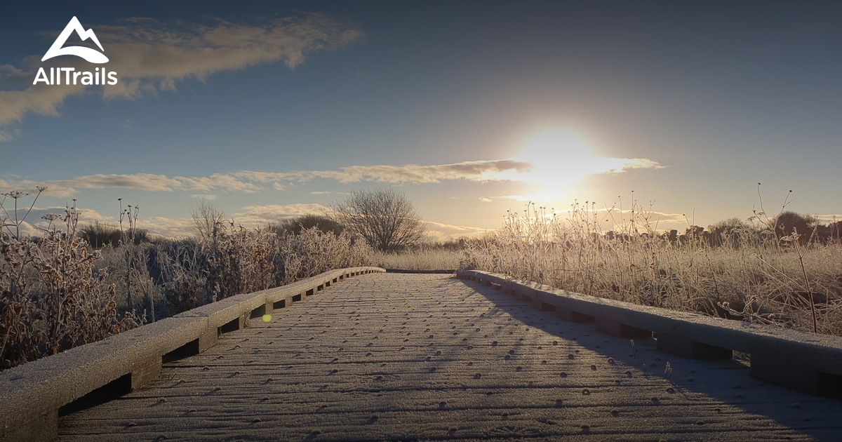 Best hikes and trails in Pollardstown Fen Nature Reserve | AllTrails