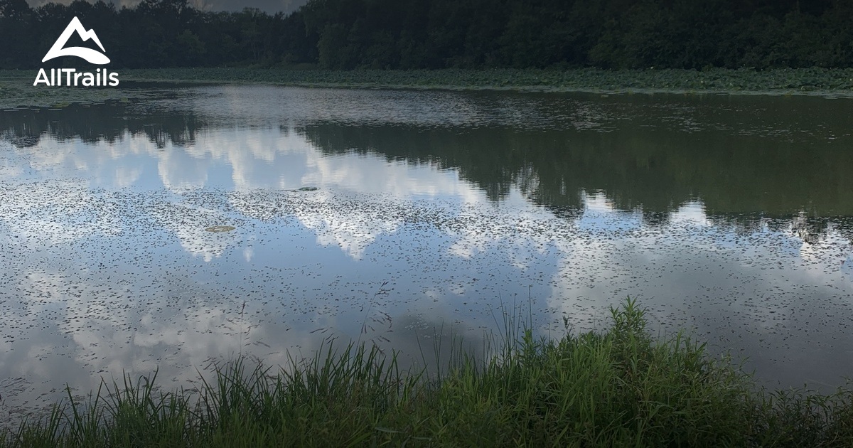 Best hikes and trails in Adams Lake State Park | AllTrails