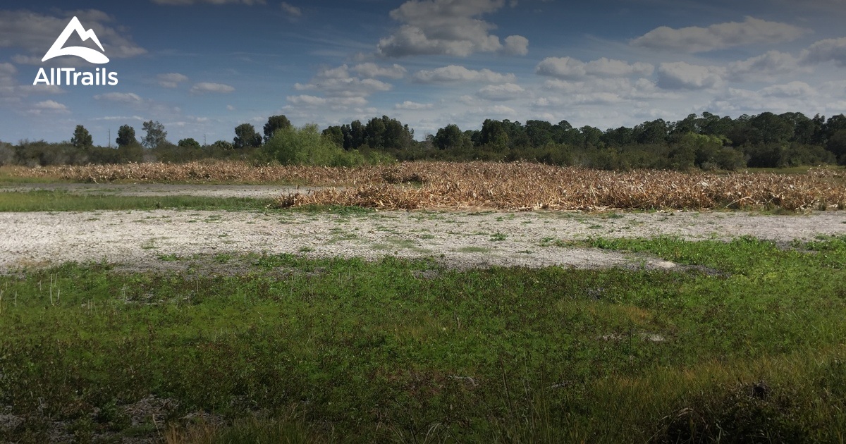 Best Hikes and Trails in Wild Turkey Strand Preserve | AllTrails