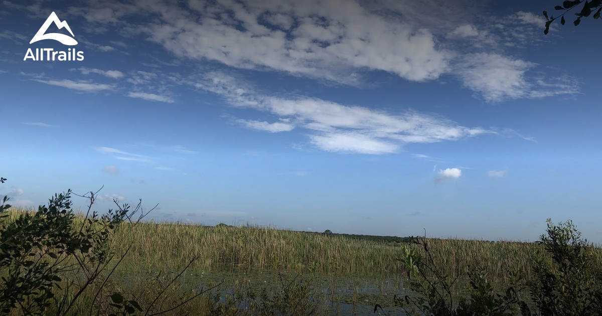 Best hikes and trails in Hickory Lake Scrub | AllTrails