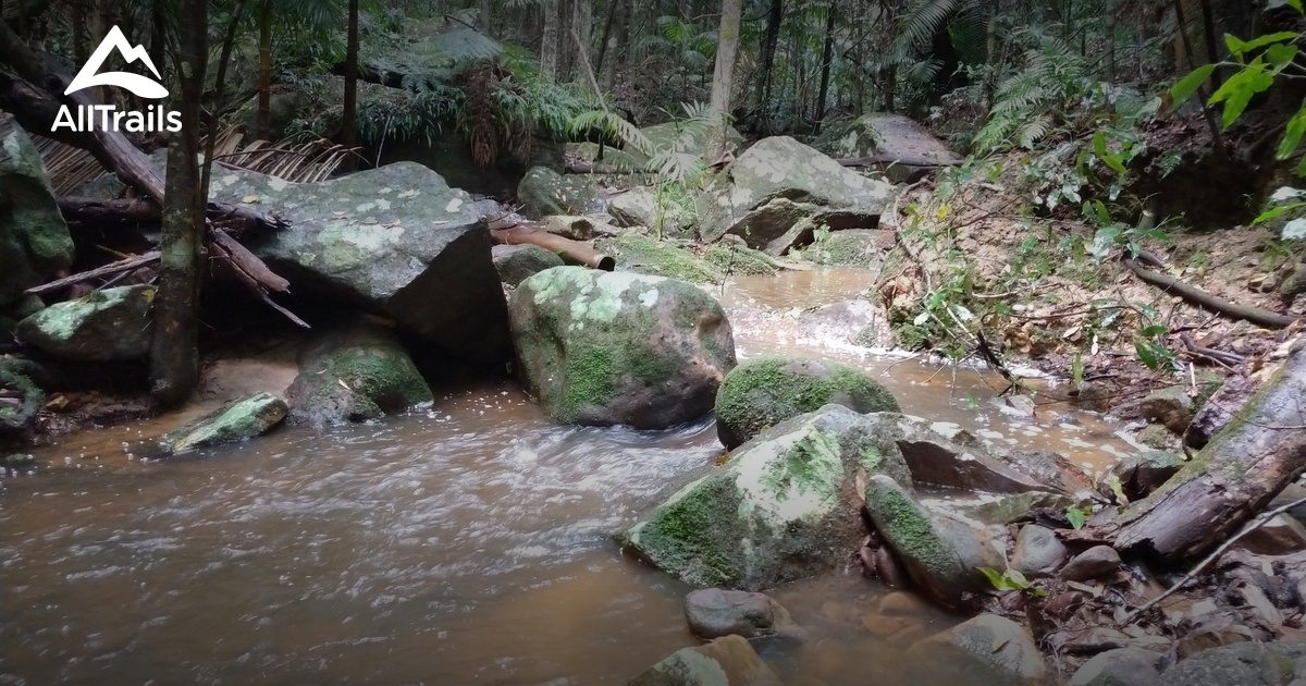 Best hikes and trails in Palm Grove Nature Reserve | AllTrails