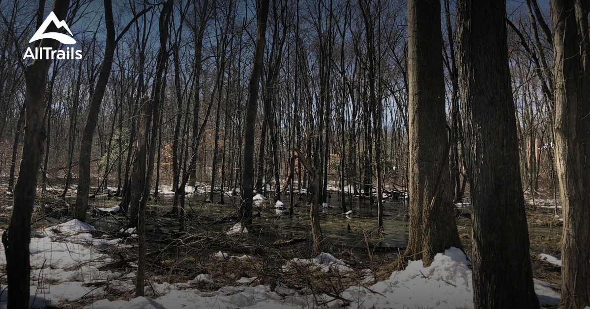 Best hikes and trails in Great Swamp Watershed Association | AllTrails