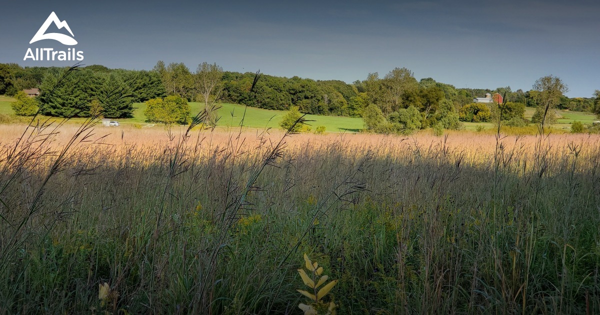 Best hikes and trails in Kelly Creek Preserve | AllTrails