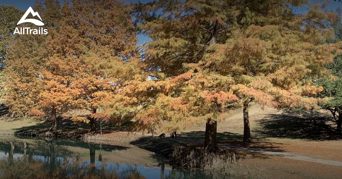 Le migliori escursioni e sentieri in Uvalde Memorial Park | AllTrails