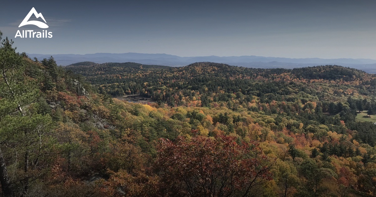 Best forest trails in Coon Mountain Preserve | AllTrails
