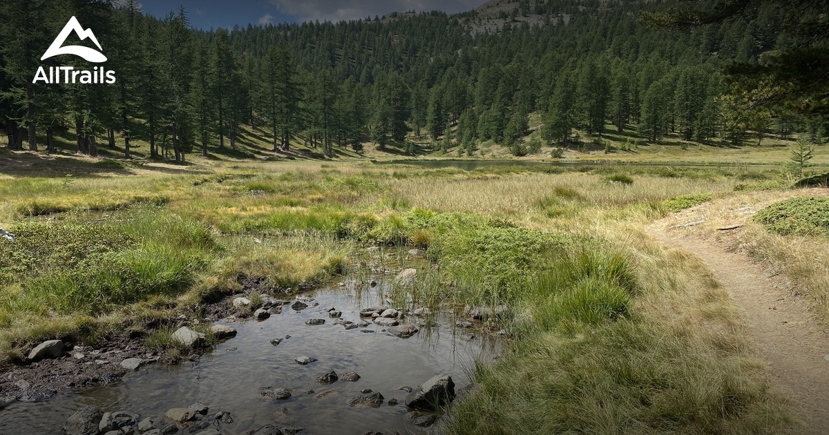 Best hikes and trails in Cima Fournier e Lago Nero | AllTrails