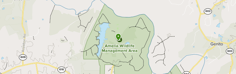 Best Hikes and Trails in Amelia Wildlife Management Area | AllTrails