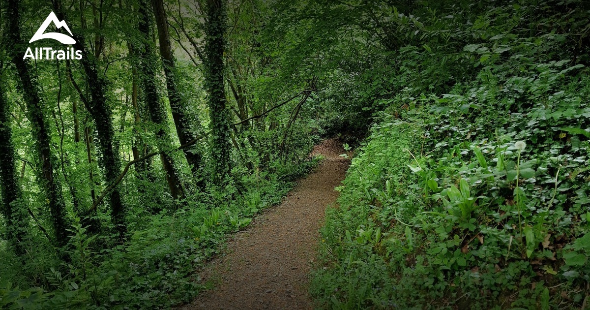 Best hikes and trails in Marfield Forest | AllTrails