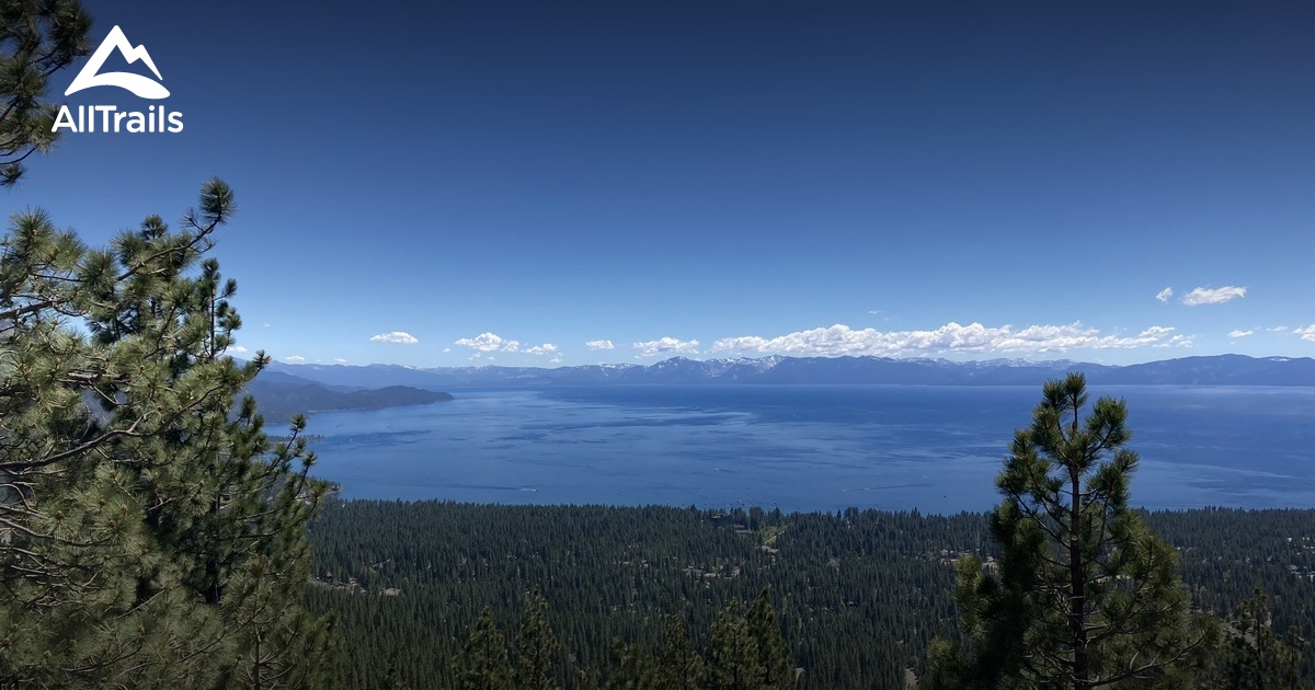 Best hikes and trails in Mount Limbo Desert Study Area | AllTrails