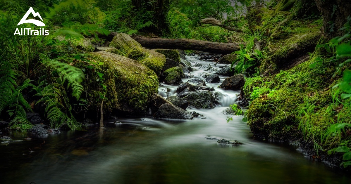 Best hikes and trails in Barna Woods | AllTrails
