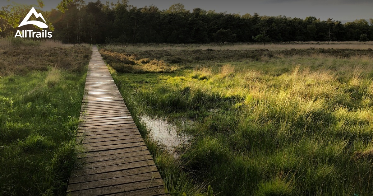 Best wildflower trails in Het Paradijs: Klein Bylaer, Groot Bylaer ...