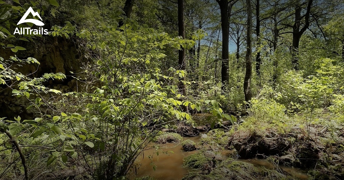 Best hikes and trails in Westcave Outdoor Discovery Center | AllTrails