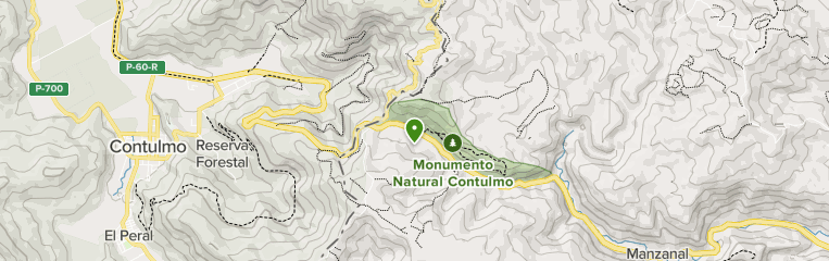 Los mejores senderos y rutas en Monumento Natural Contulmo | AllTrails