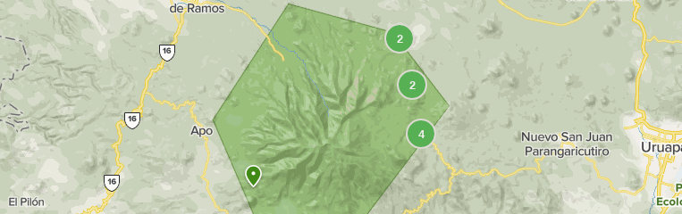 Los mejores senderos y rutas en Pico de Tancítaro | AllTrails