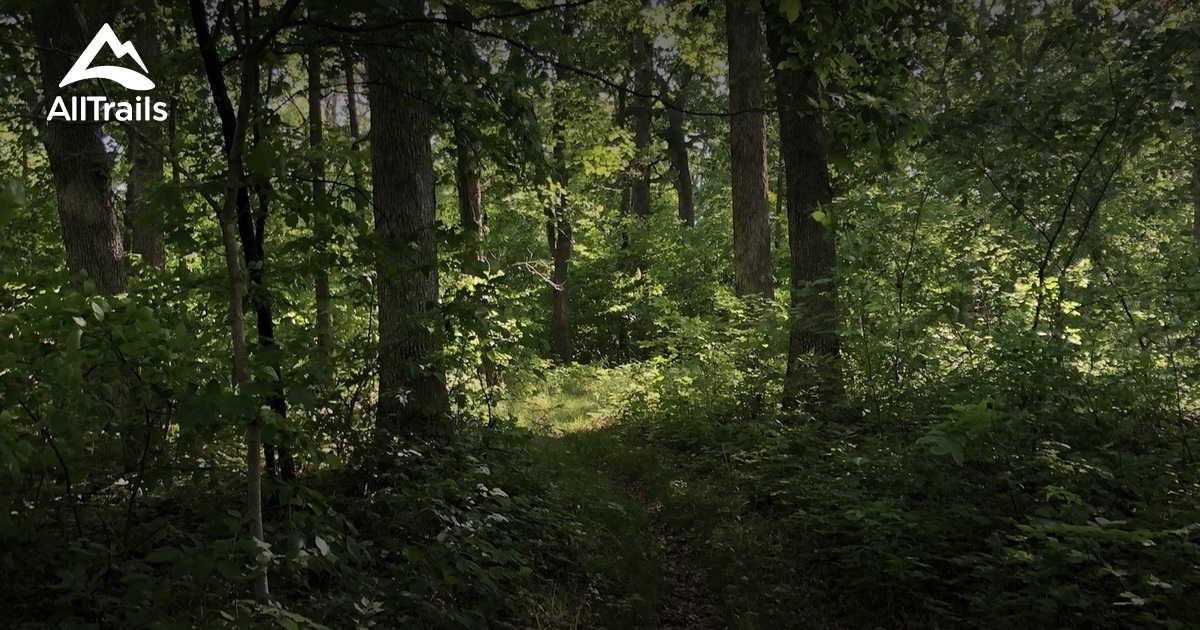Best hikes and trails in Trice-Dedman Memorial Woods | AllTrails