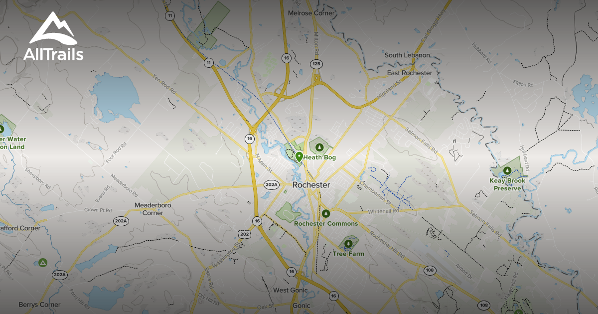 Best hikes and trails in Dominicus Hanson Pines Park | AllTrails
