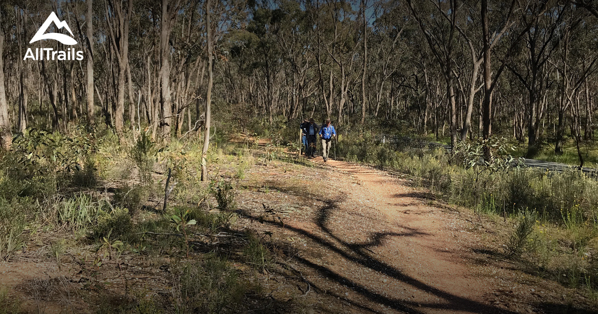 Best hikes and trails in Walmer Forest Reserve | AllTrails