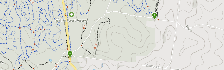 Best Trails in Walmer Forest Reserve | AllTrails