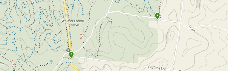 Best Hikes and Trails in Walmer Forest Reserve | AllTrails