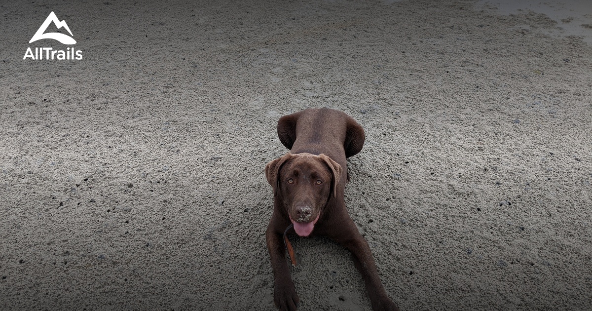 Best hikes and trails in Shallow Inlet Marine and Coastal Park | AllTrails