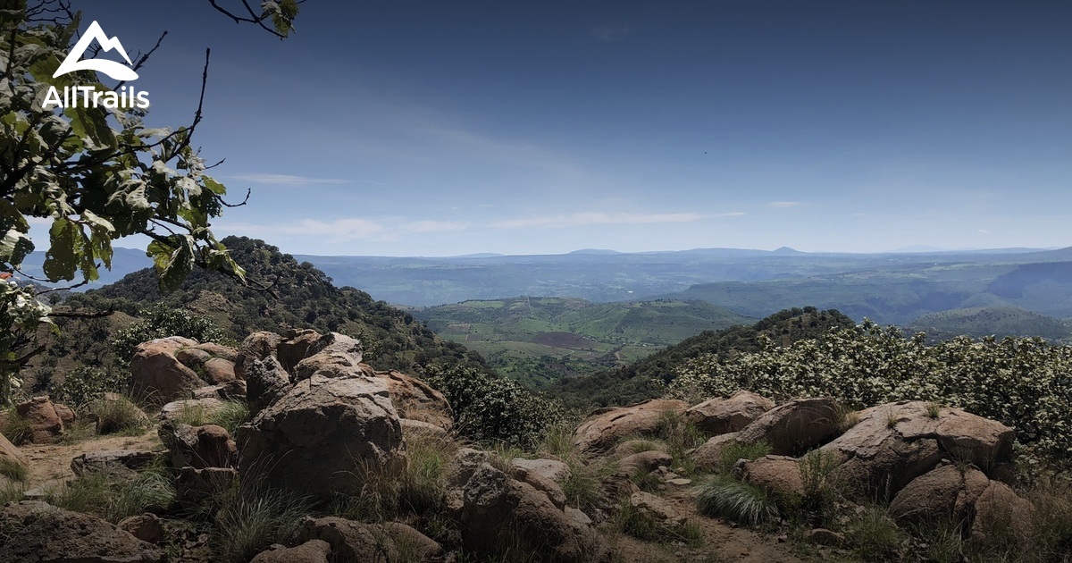 Best hikes and trails in Área Natural Protegida Bosque el Nixticuil ...