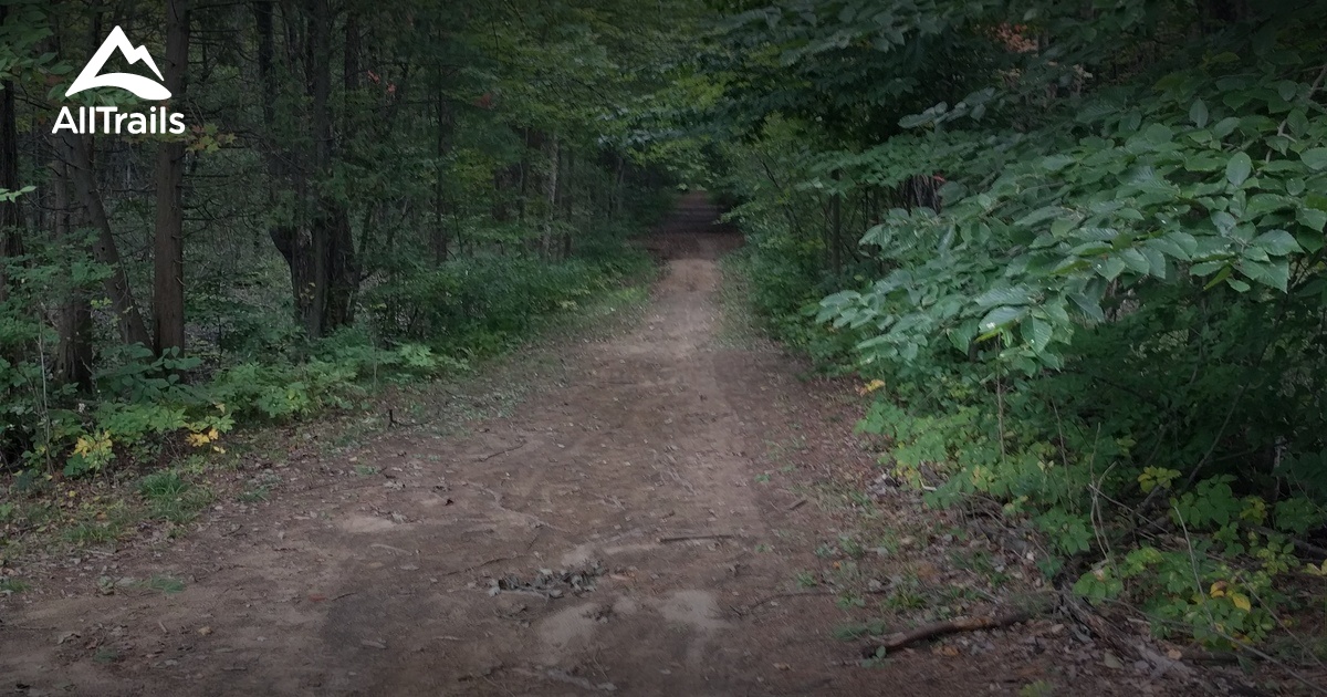 Best hikes and trails in Pinhey Forest | AllTrails
