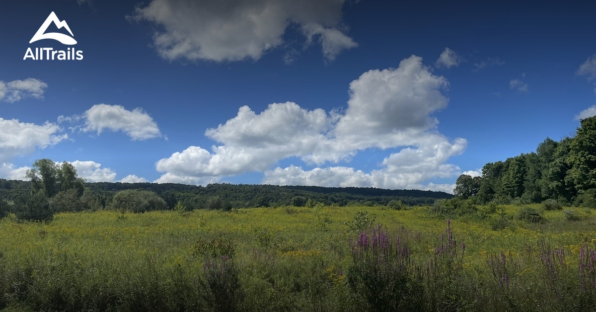 Best hikes and trails in Mount Hope Park | AllTrails