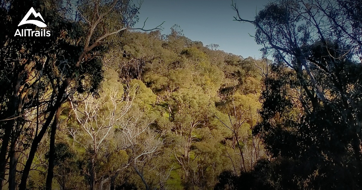 Beste wandelingen en routes in Meredith Education Area | AllTrails