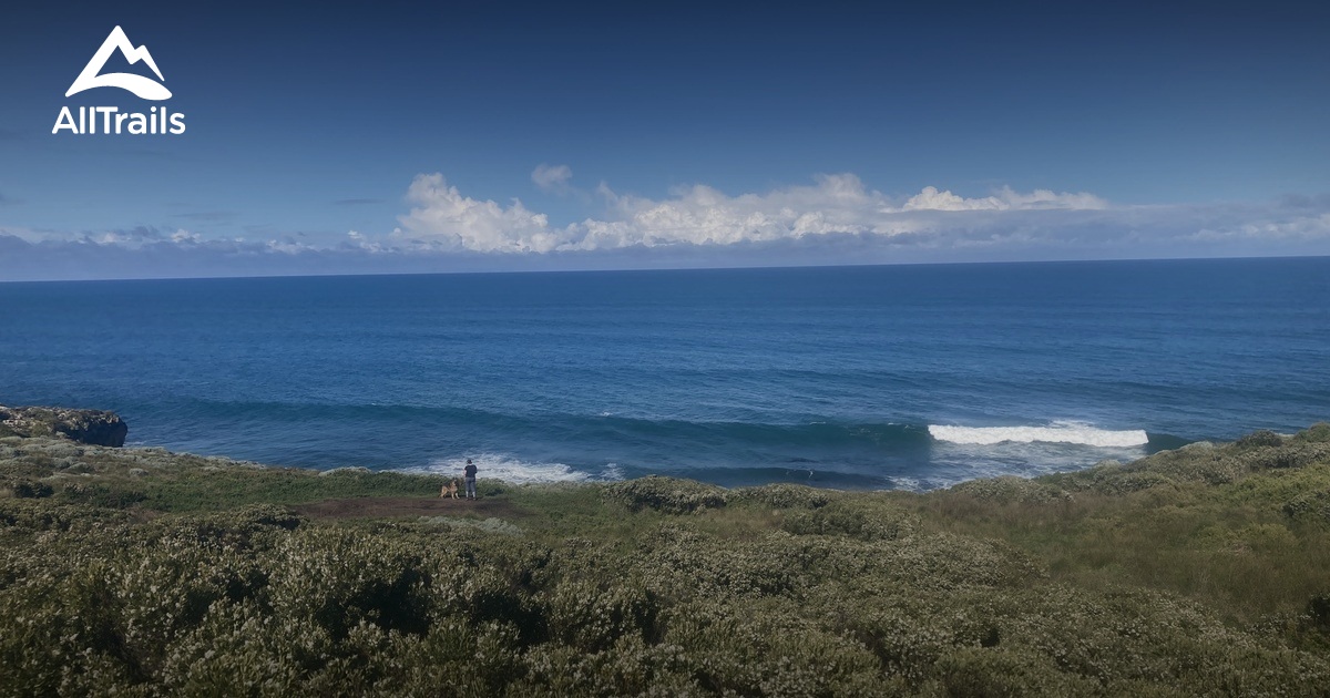 Best forest trails in Bay of Islands Coastal Park | AllTrails