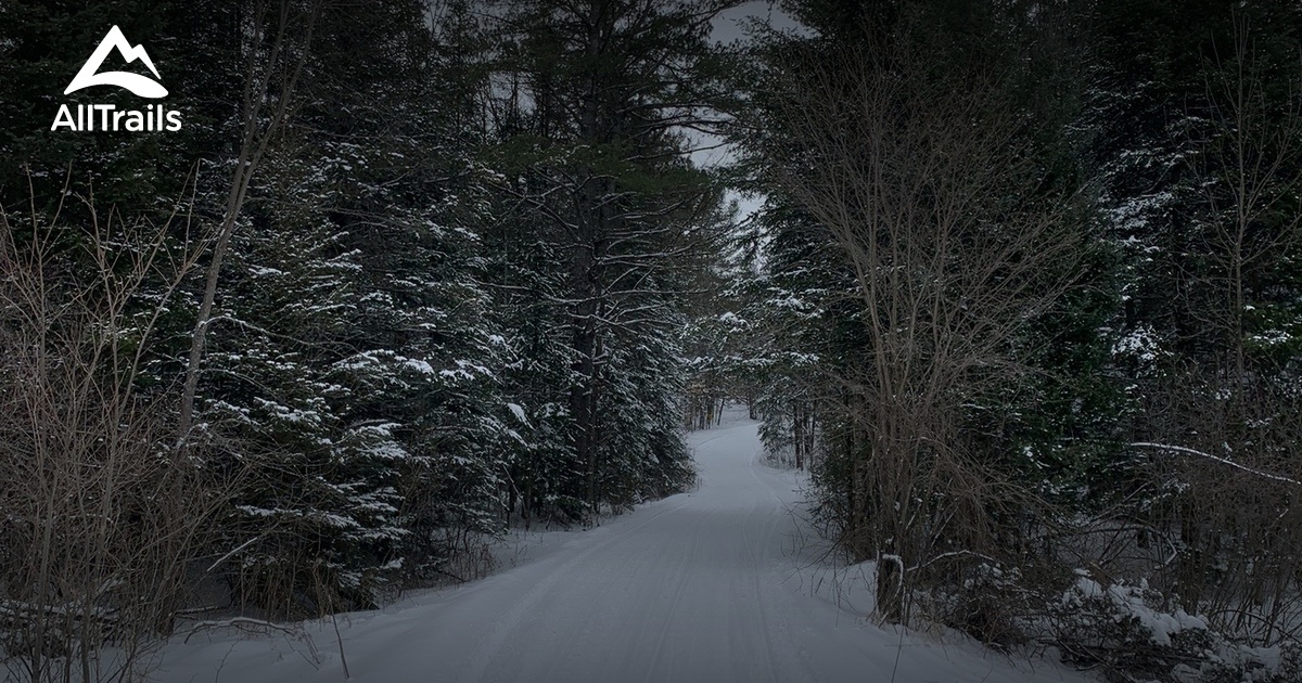 Best forest trails in Webber Woods | AllTrails