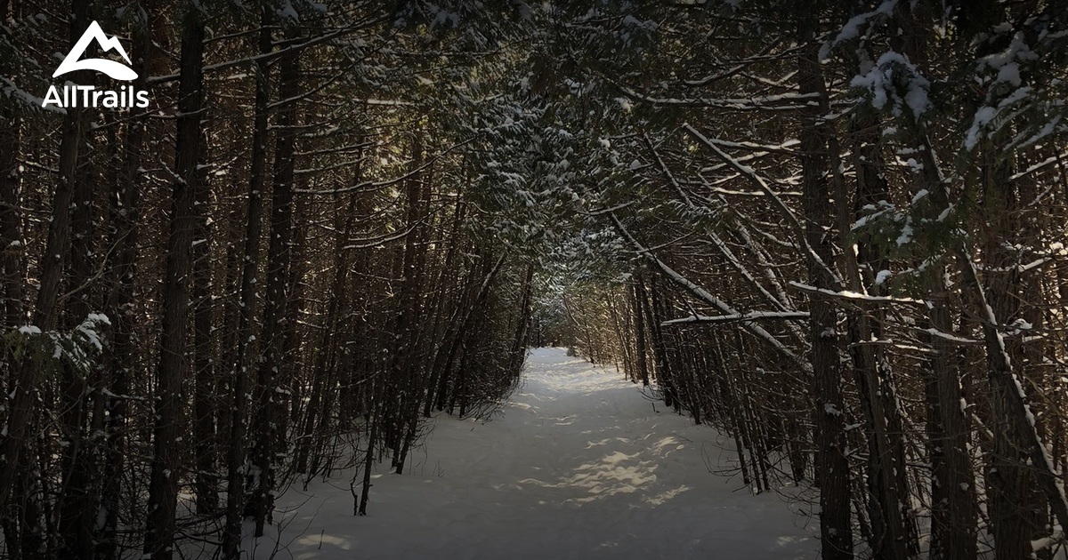 Best hikes and trails in Orangeville Wetlands | AllTrails