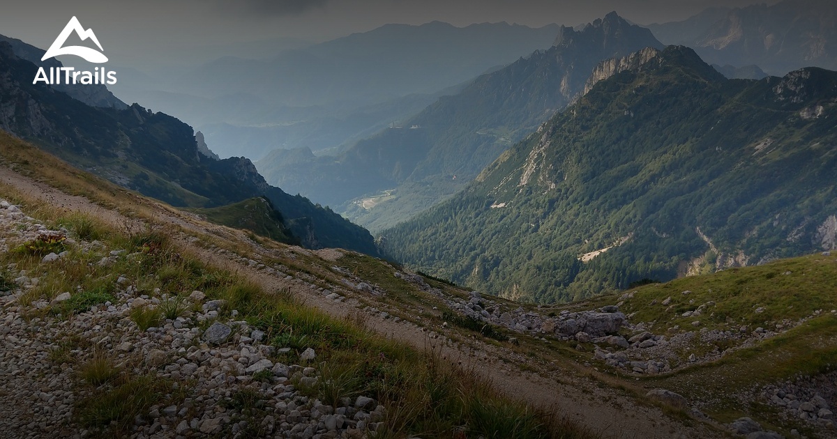 10 Best wildflower trails in Gruppo del Pasubio | AllTrails