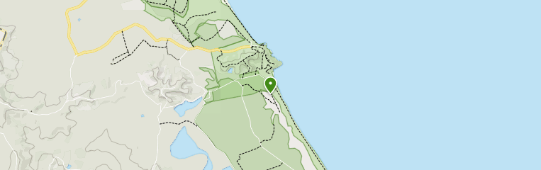 Best Trails in Te Arai Regional Park | AllTrails