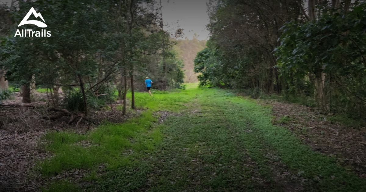 Best hikes and trails in Melaleuca Environmental Park | AllTrails