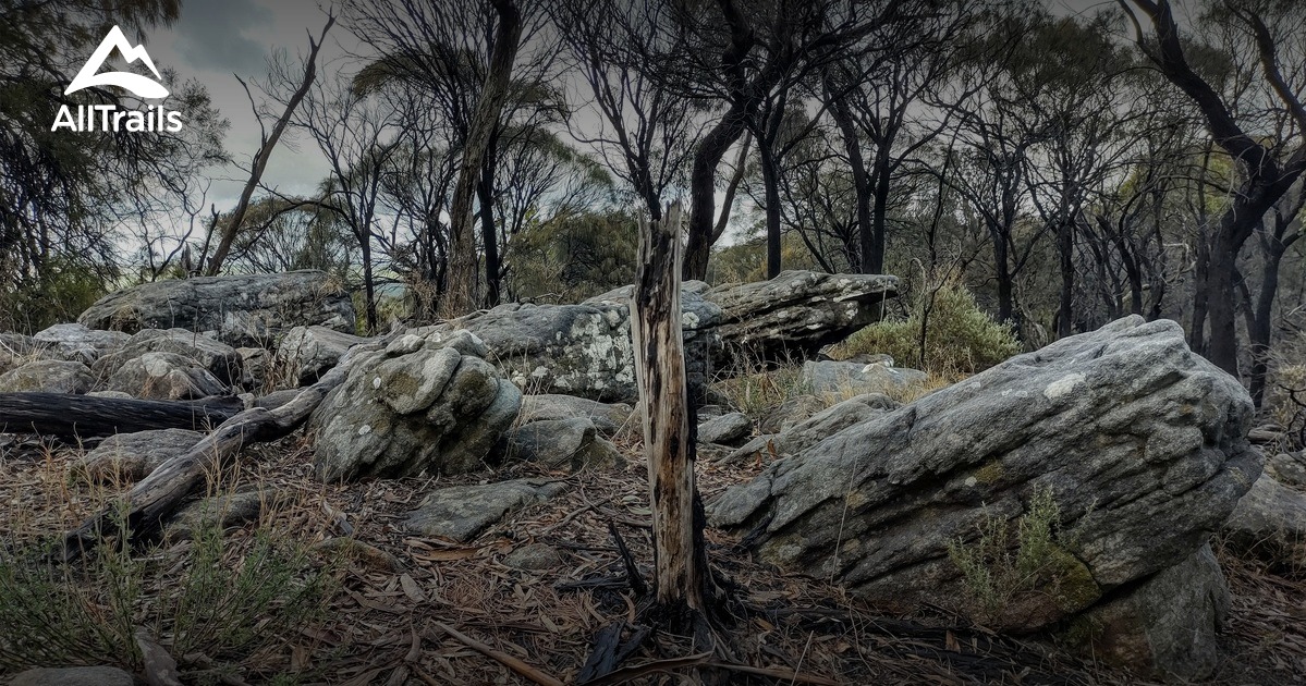 Best hikes and trails in Little Mount Crawford Forest Reserve | AllTrails