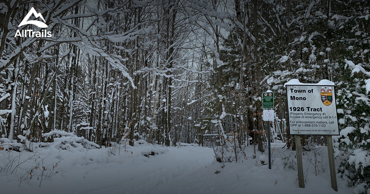 Best hikes and trails in Town of Mono Forests | AllTrails