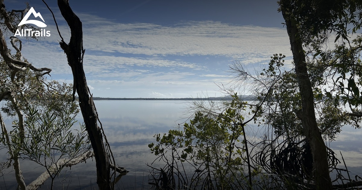 Best hikes and trails in Lake Weyba Bushland Reserve Network | AllTrails