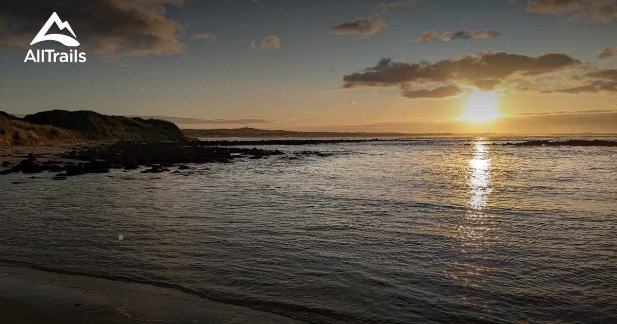Best hikes and trails in Belfast Coastal Reserve | AllTrails