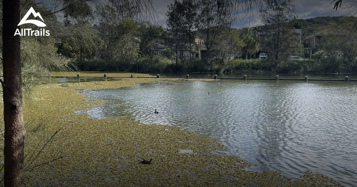 Best hikes and trails in Warriewood Wetlands | AllTrails