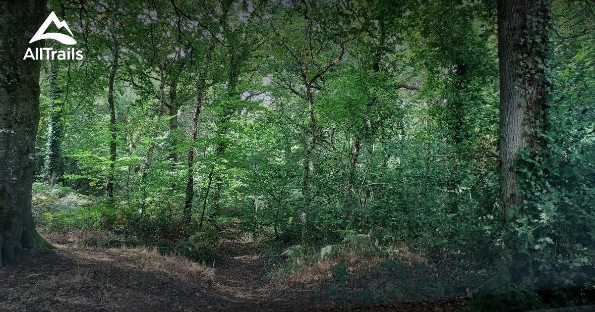 Best hikes and trails in Bois de Lann ar Waremm | AllTrails