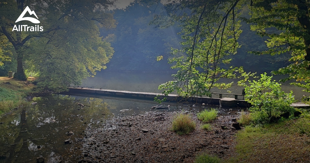 Best hikes and trails in Forêt communale de Hirson | AllTrails